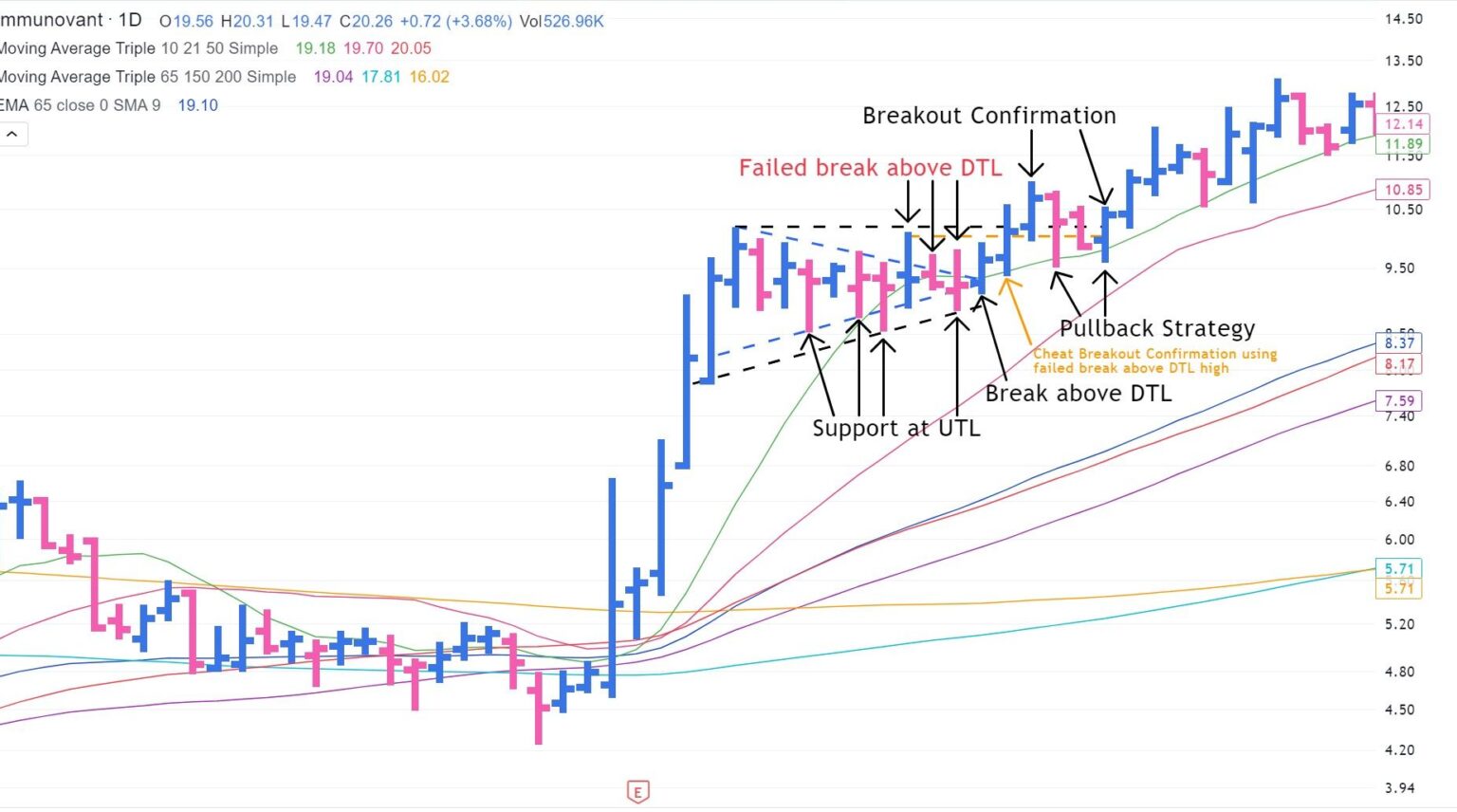 How to Scan for High Tight Flags | Deepvue