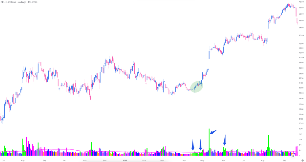 Powerful Stock Technical Patterns That Exhibit Strength | Deepvue