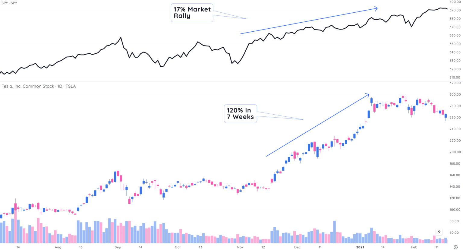 Finding Leading Growth Stocks in Every Market Cycle | Deepvue